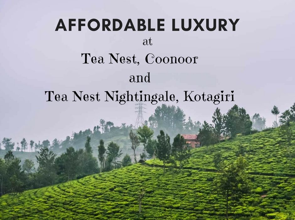 Review: Affordable luxury @ Tea Nest, Coonoor and Tea Nest Nightingale ...